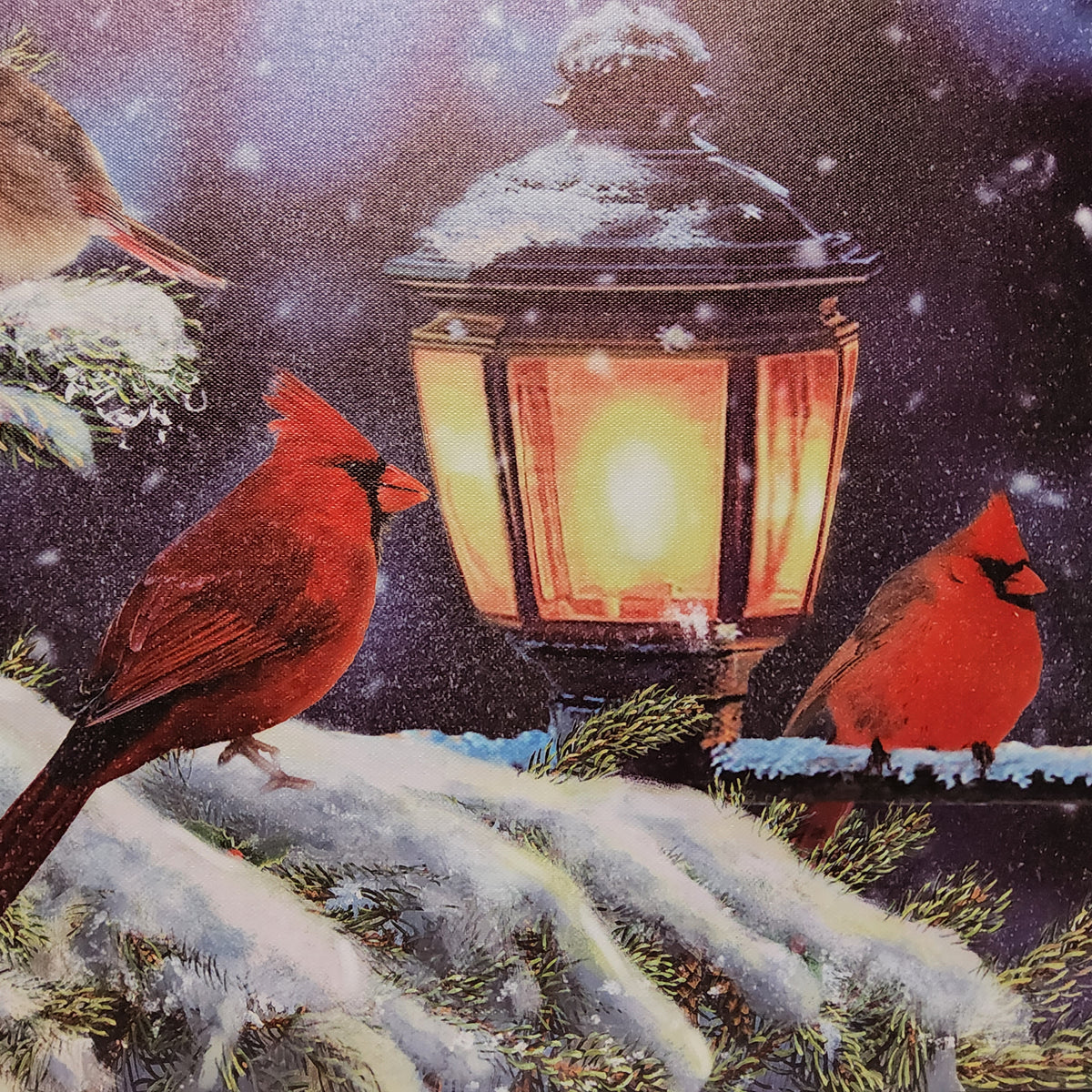 LED Art - Cardinals by Lamplight FBH95934 – Lesser Jewellers