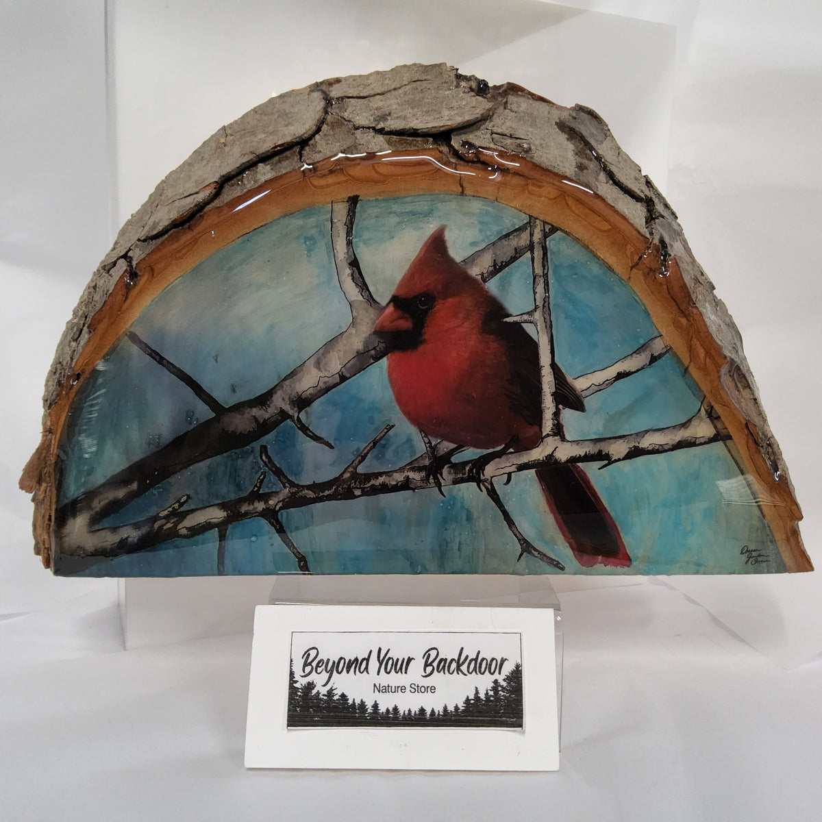 Live Edge Wood Decor - Cardinal - Glossy Finish – Lesser Jewellers