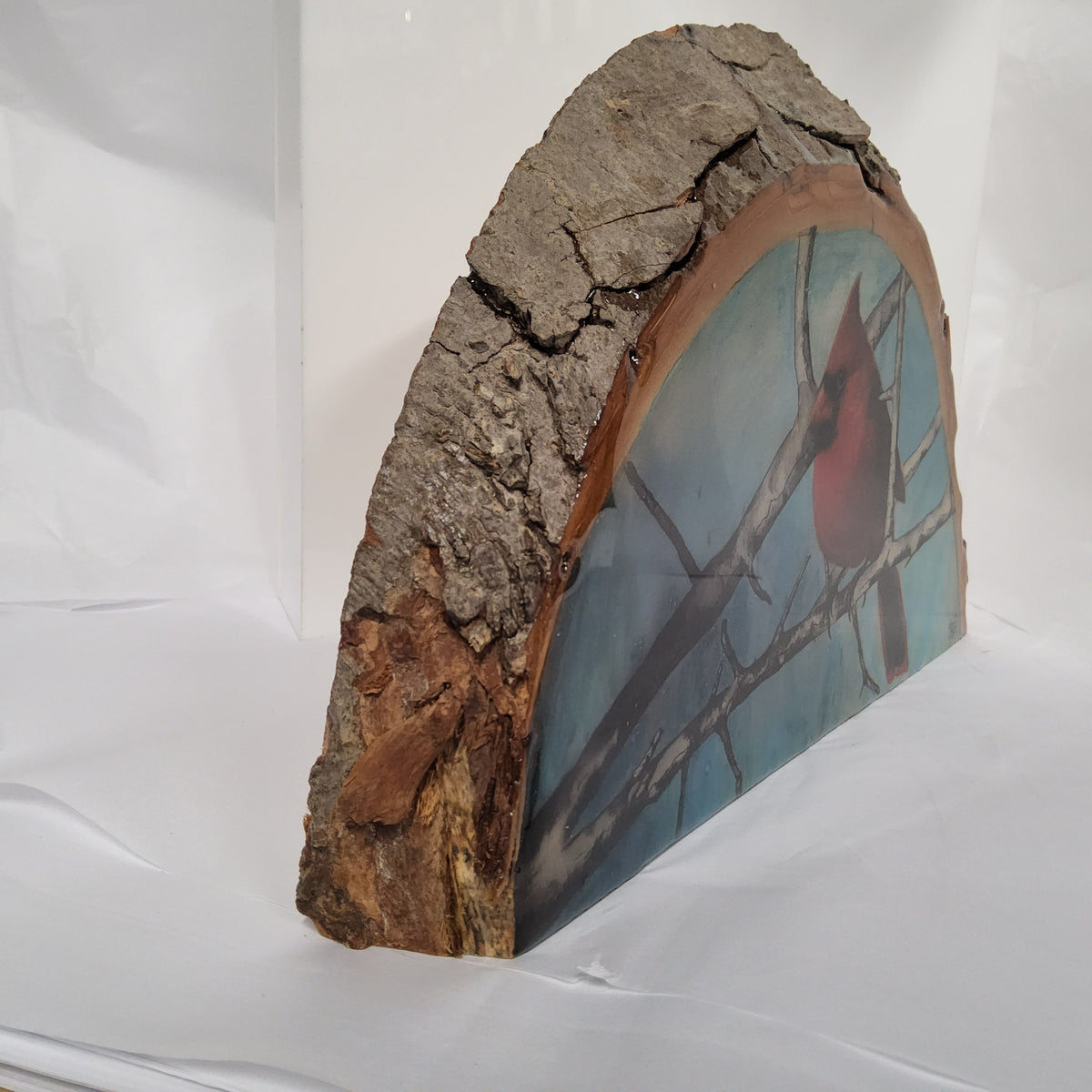 Live Edge Wood Decor - Cardinal - Glossy Finish – Lesser Jewellers