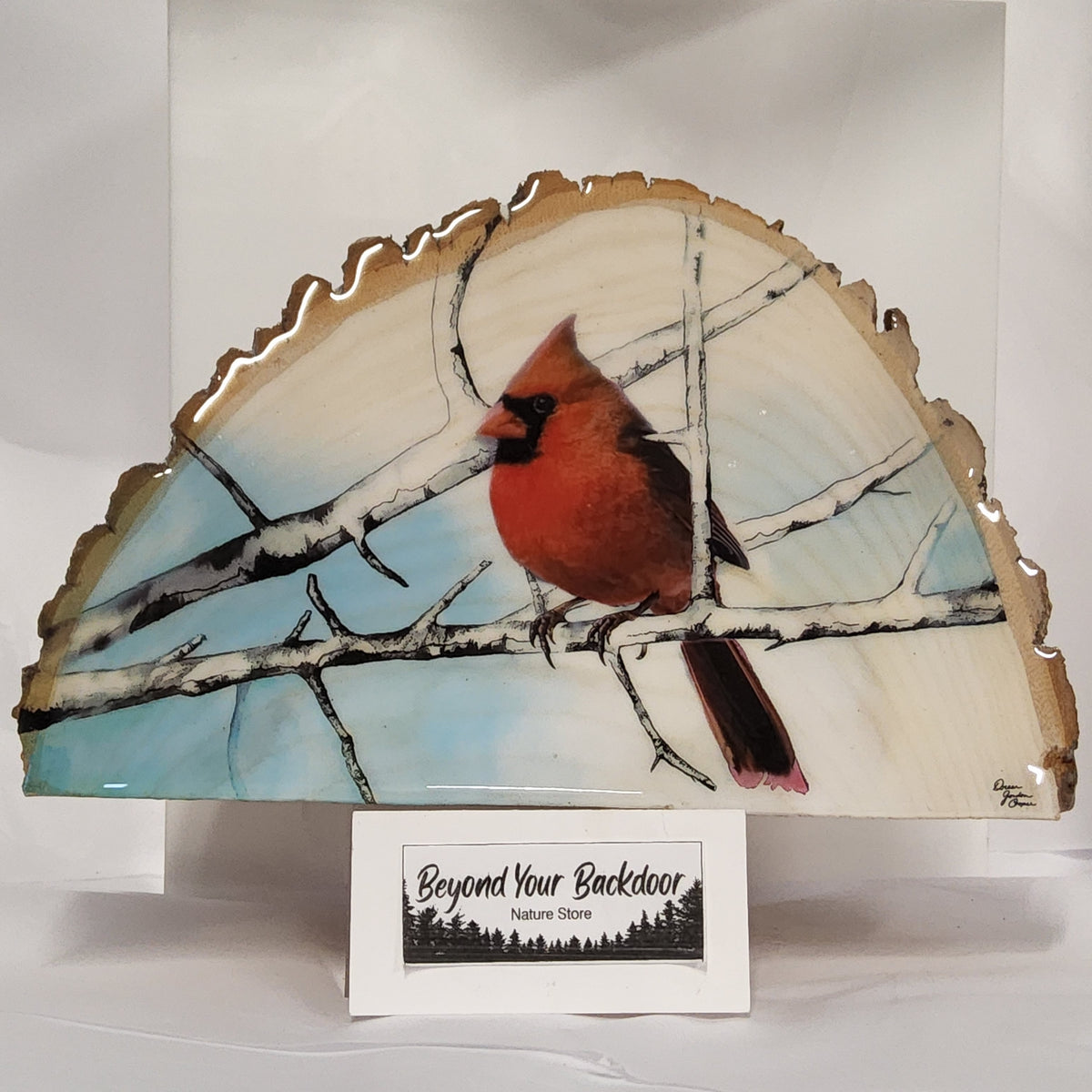Live Edge Wood Wedge Decor - Cardinal - Glossy Finish – Lesser Jewellers