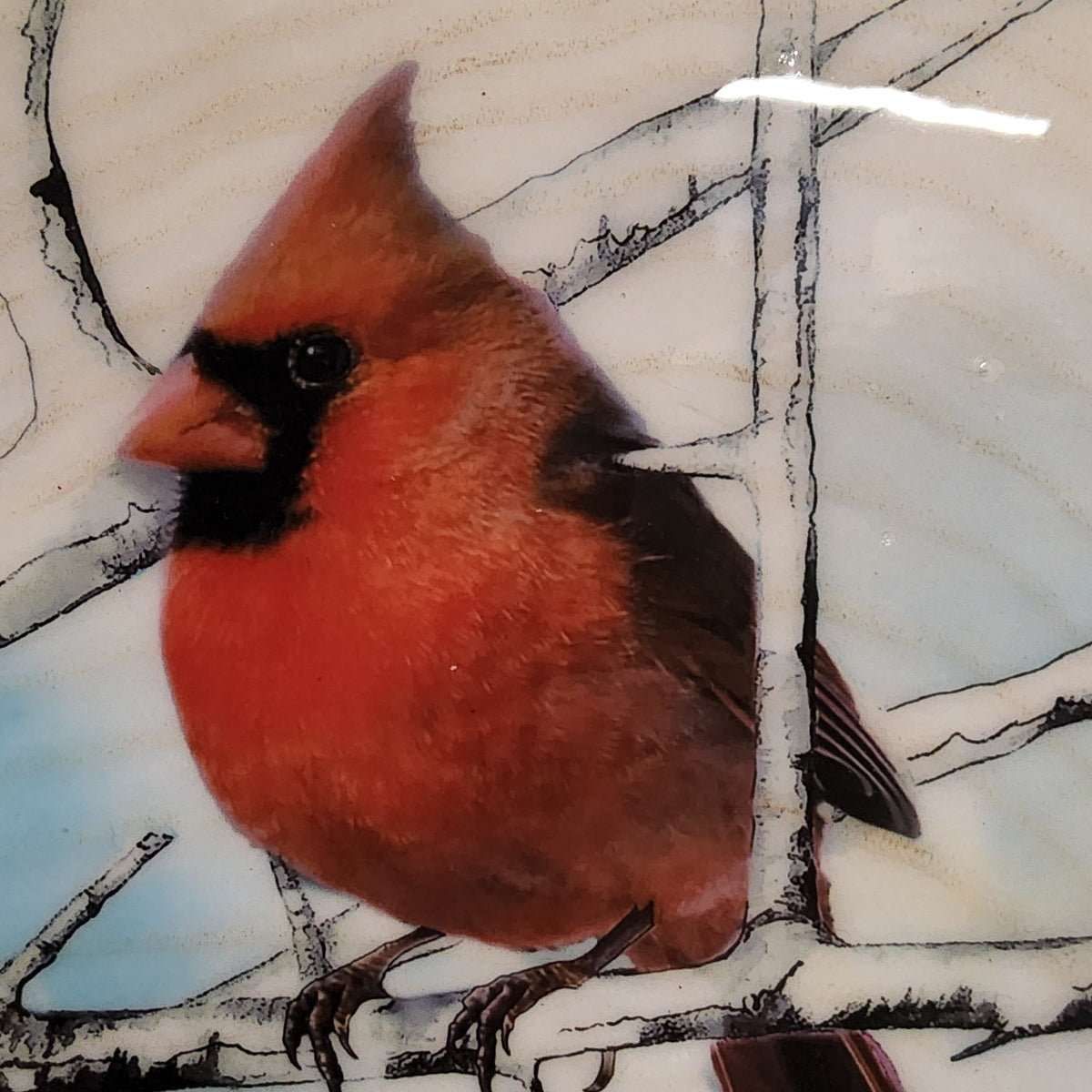Live Edge Wood Wedge Decor - Cardinal - Glossy Finish – Lesser Jewellers